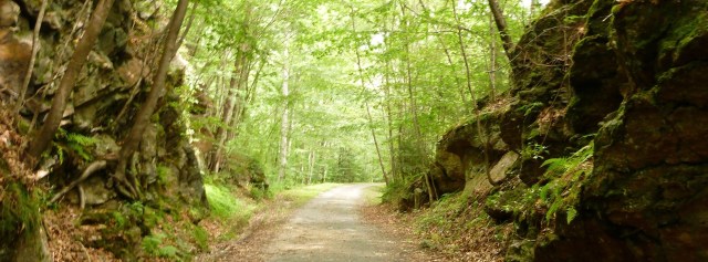 Bathing in the Glow of the Forest – Walking the Air Line Trail | The ...